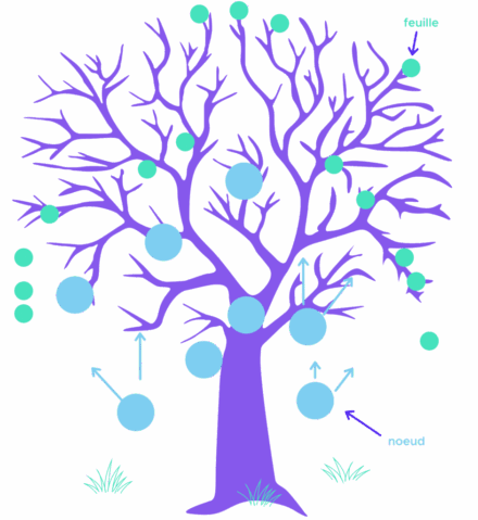 Random Forest : Forêt d’arbre de décision- Définition et fonctionnement