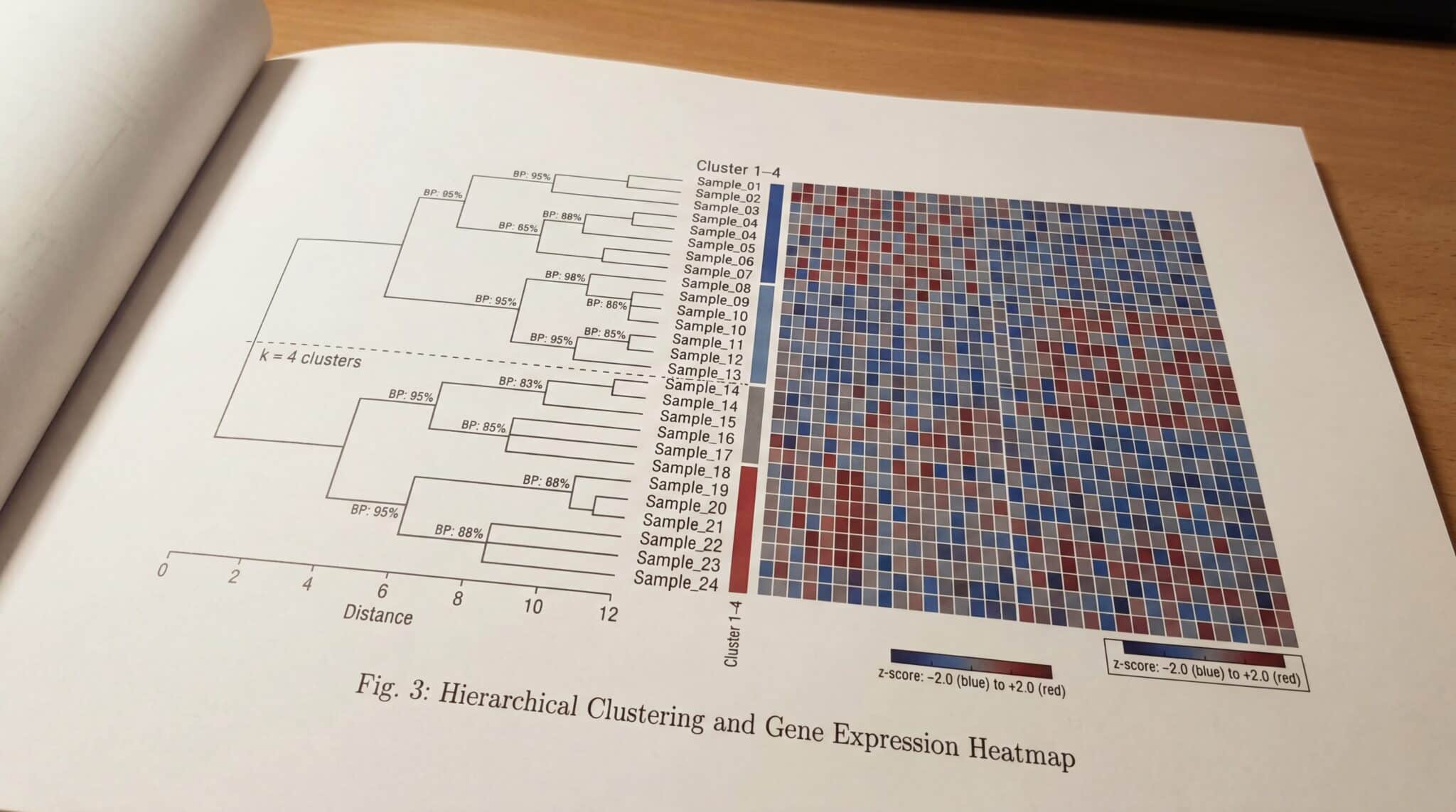 Dendrogramme : tout sur le diagramme de clustering hiérarchique